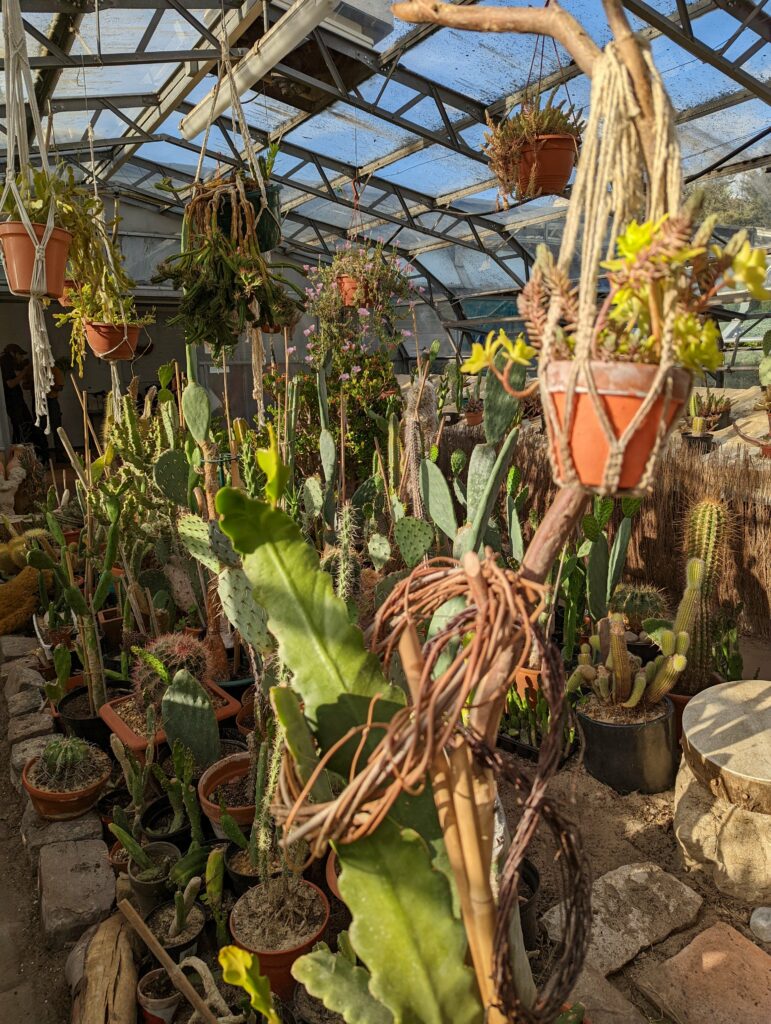 Wolves Lane - thejaymo