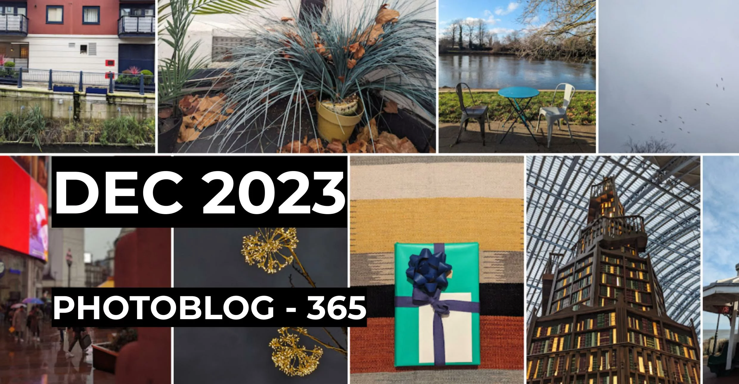 Dec 2023 | Photo 365 - thejaymo