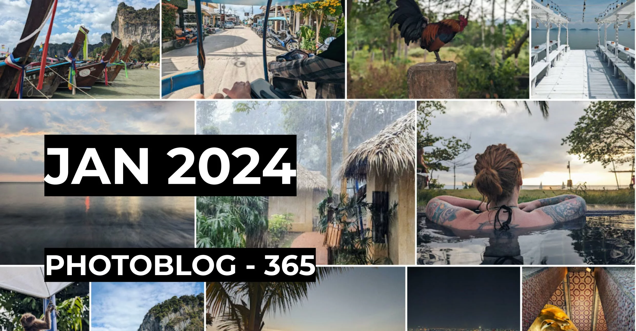 Jan 2024 | Photo 365 - thejaymo