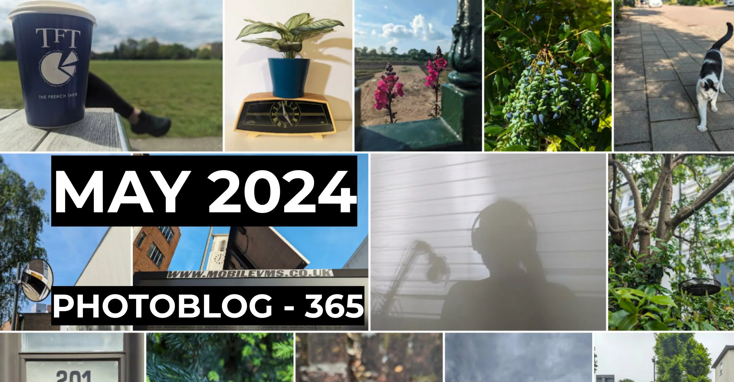 May 2024 | Photo 365 - thejaymo